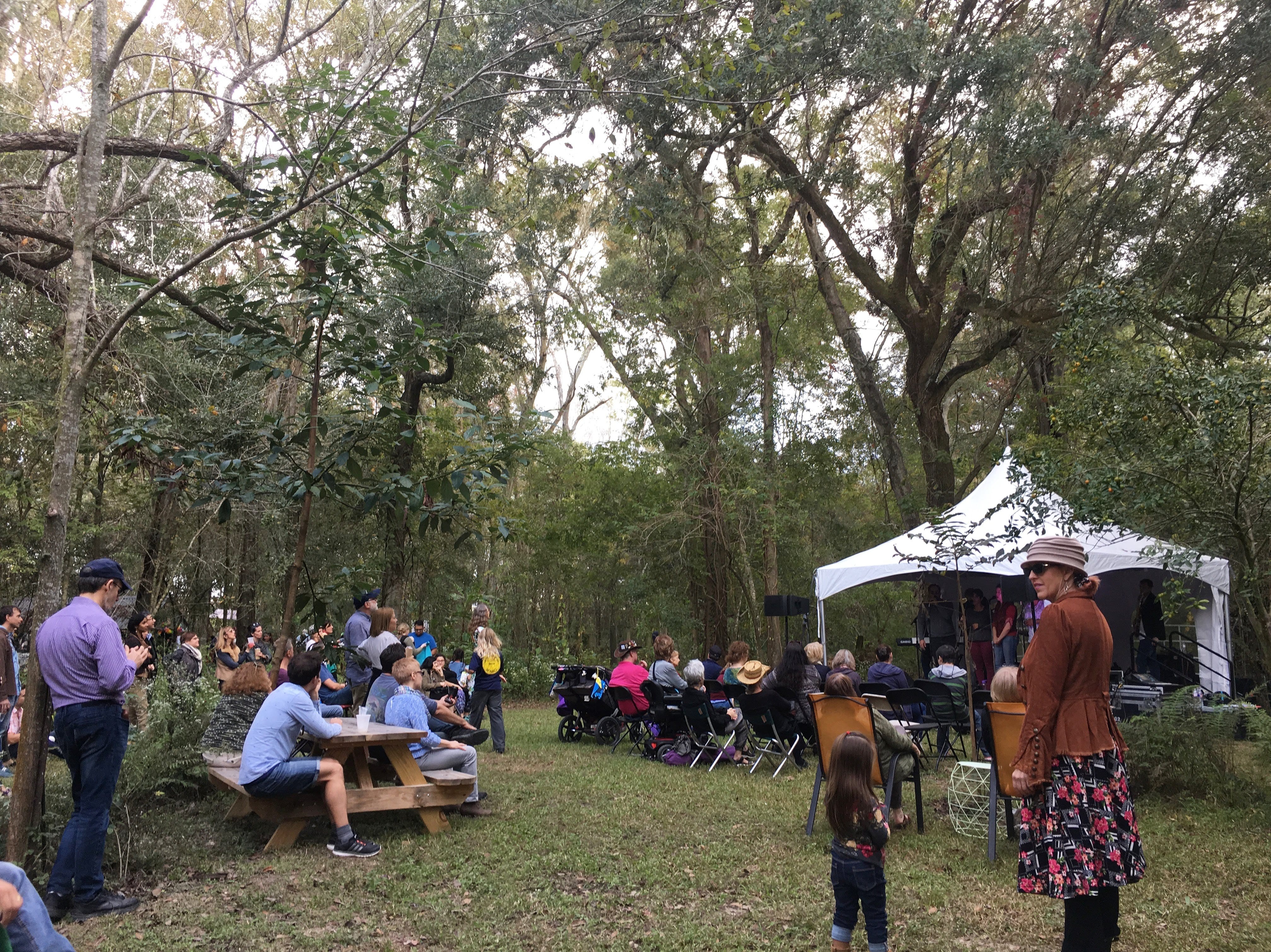 FORESTival - A Studio in the Woods