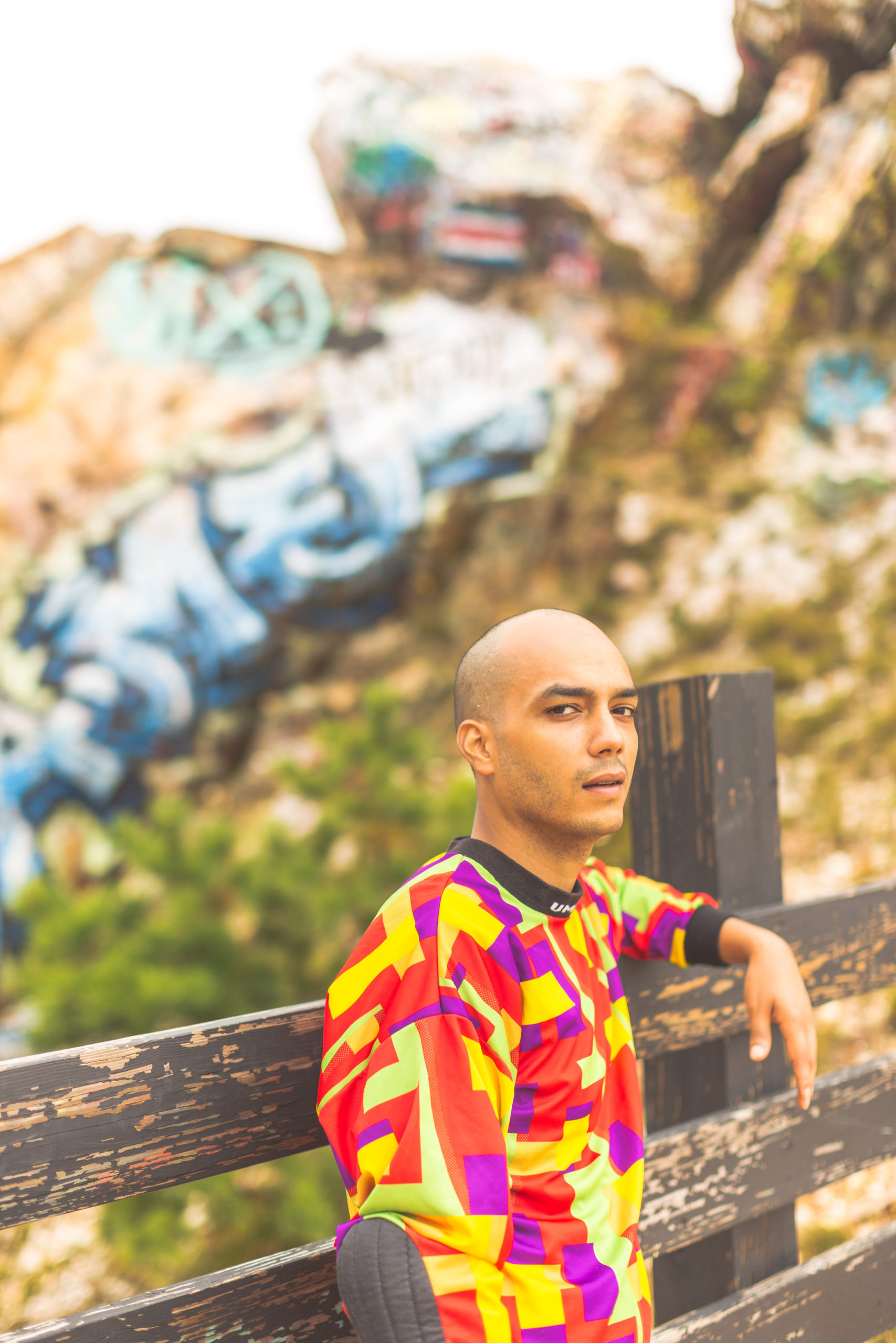 Jose Cotto - A Studio in the Woods