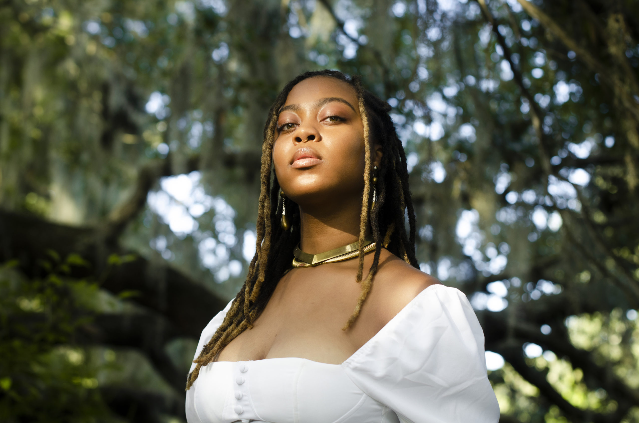 Zandashé Brown - A Studio in the Woods